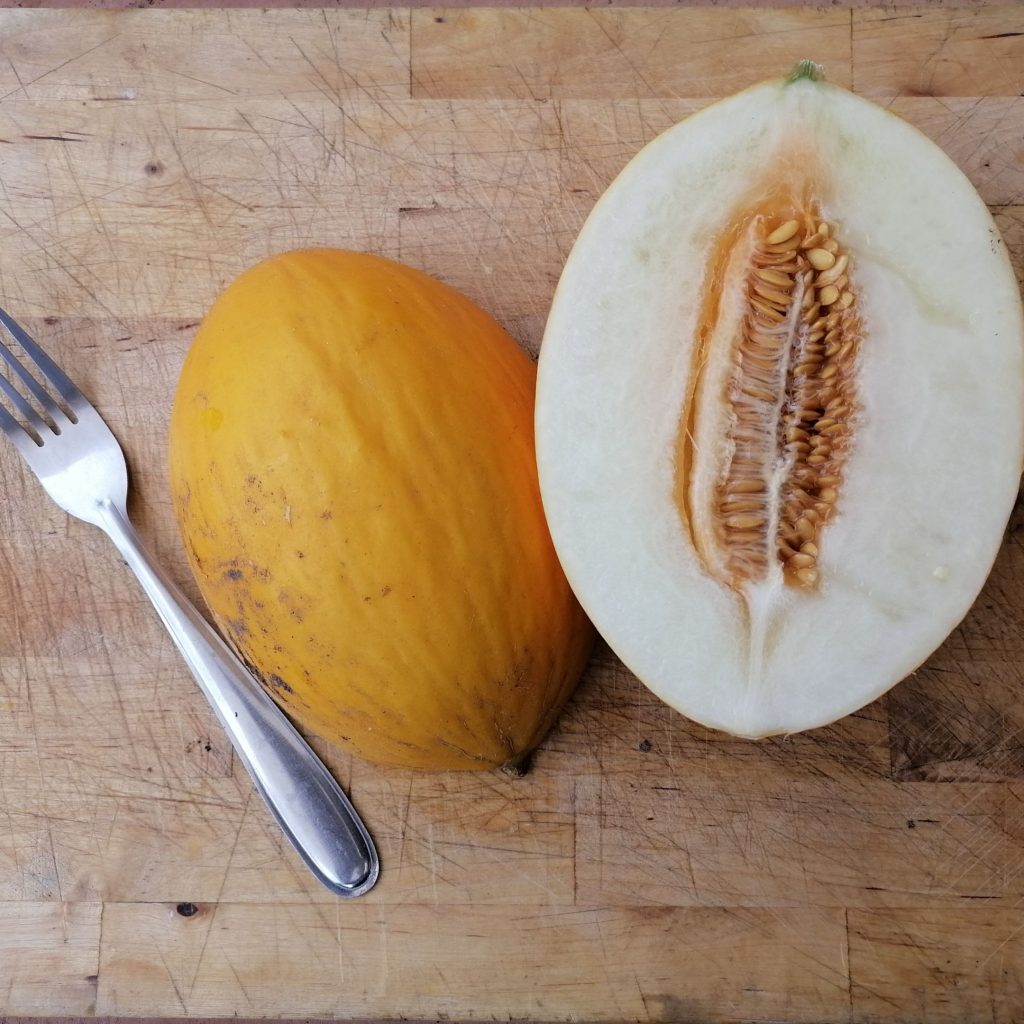 Melon jaune canari | Les Jardins de Baugnac